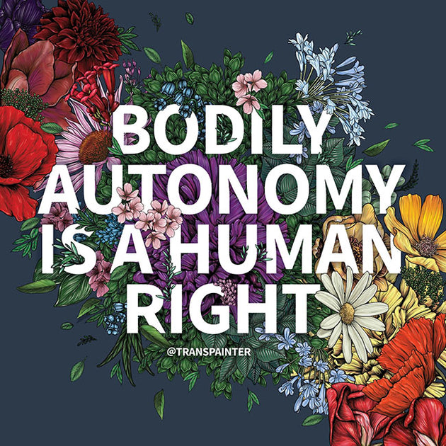 Sticker: Bodily Autonomy is a Human Right – Trans Tool Shed