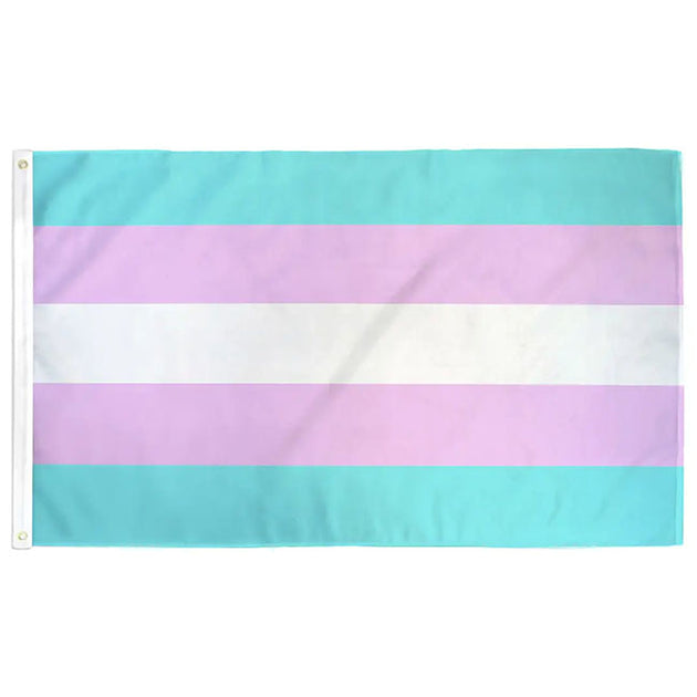 Trans Pride Flag 3 feet x 2 feet – Trans Tool Shed